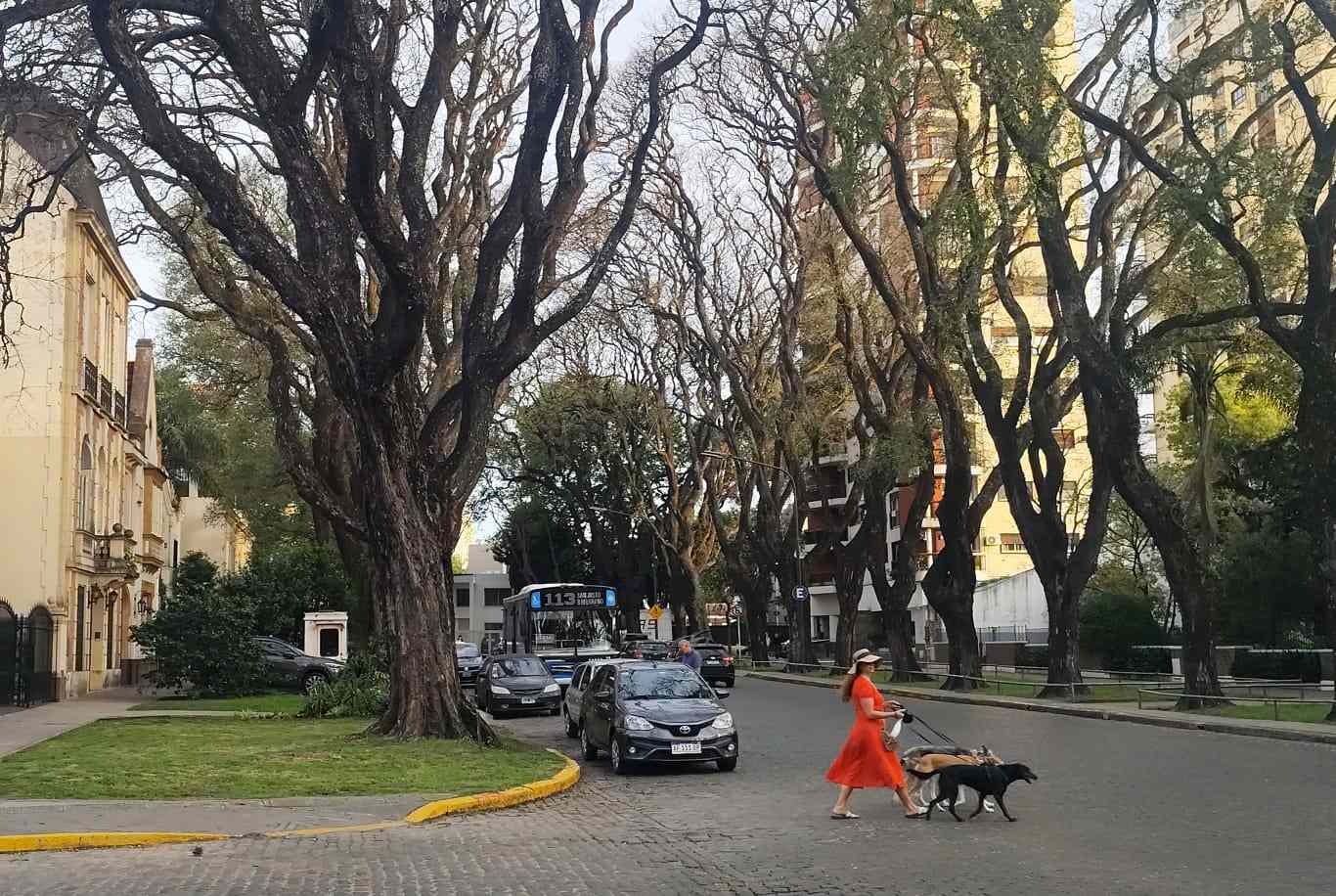 Dónde encontrar el mejor al disco en Villa Urquiza